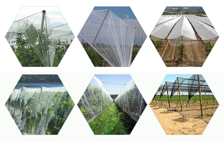 Anti Hail Netting Manufacturers, Suppliers in China - BN Netting