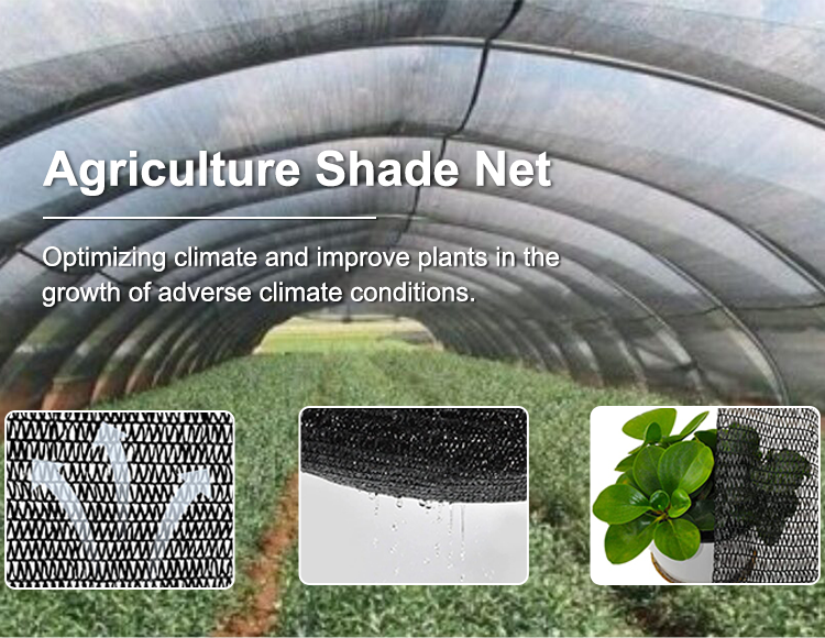 Greenhouse shade cloth manufacturer & supplier - BN Netting