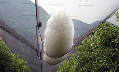 Anti Hail Netting Factory & Supplier in China - BN Netting